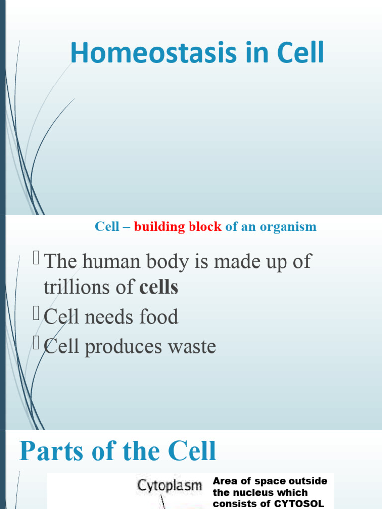 Homeostasis in Cells | PDF | Cell Membrane | Cell (Biology)