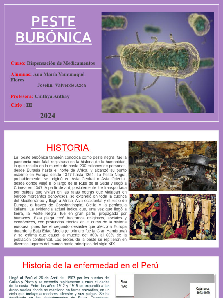 Peste Bubonica | PDF | Epidemiología | Medicina CLINICA