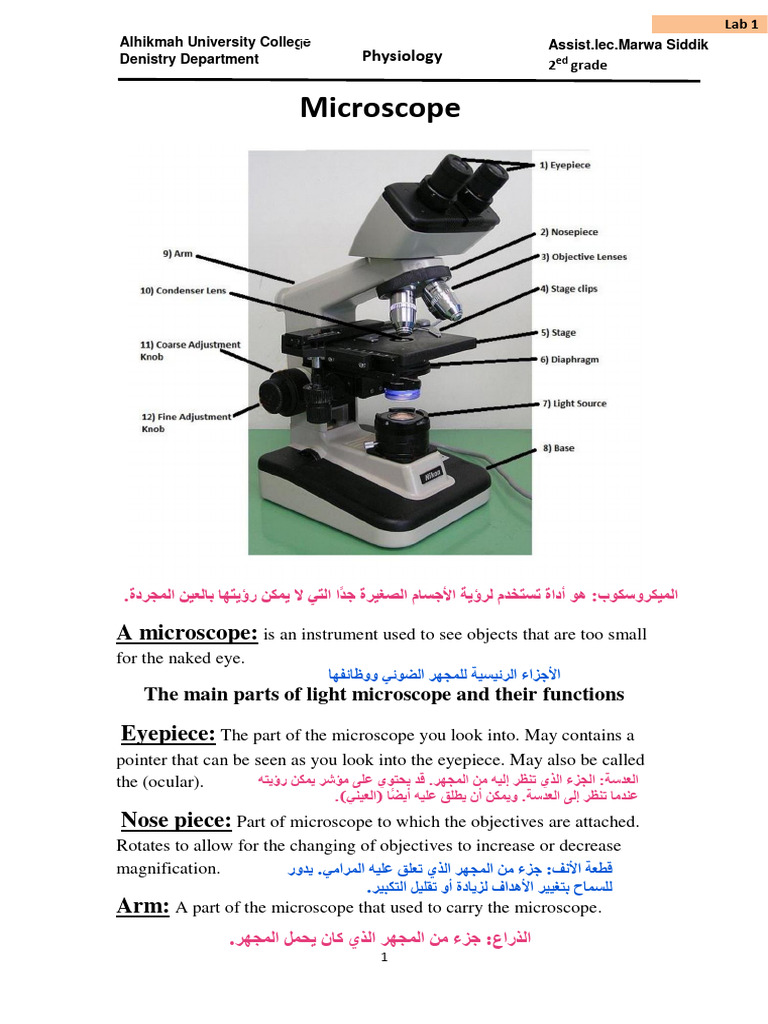lab. 1 Dr.Marwa 2 | PDF | Microscopy | Scientific Techniques