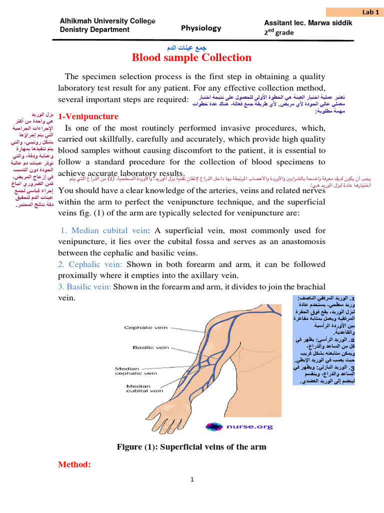 Forearm Vein Blood Collection Techniques | PDF | Arm | Vein
