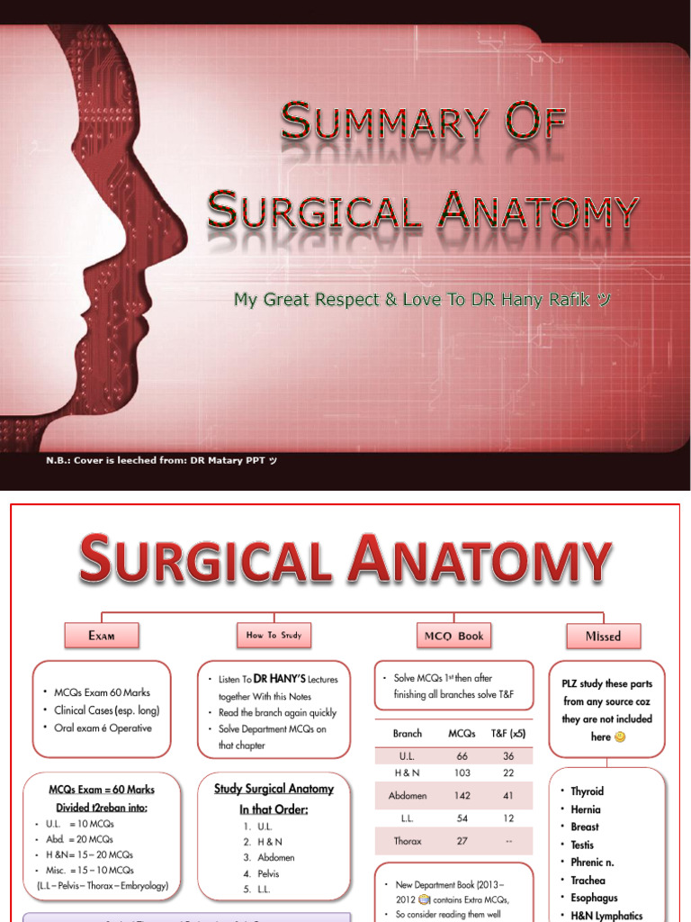 Summary of Surgical Anatomy | PDF | Arm | Human Head And Neck