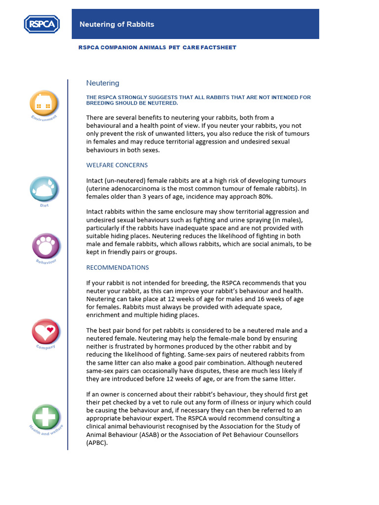 Rabbit Neutering Factsheet (PDF 176KB) | PDF | Neutering | Rabbit