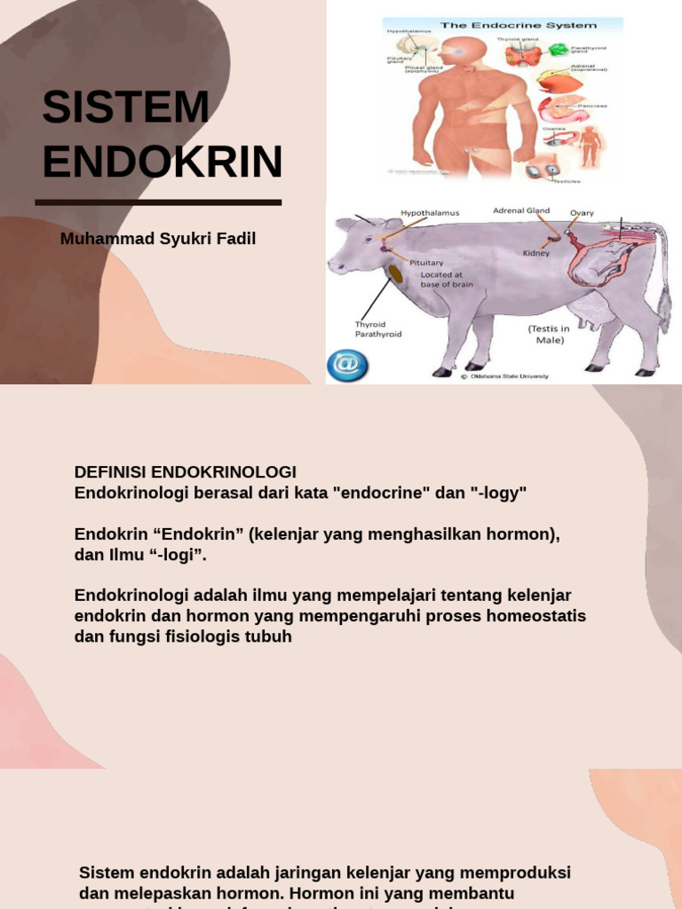 SiISTEM ENDOKRIN (PDF - Io) | PDF