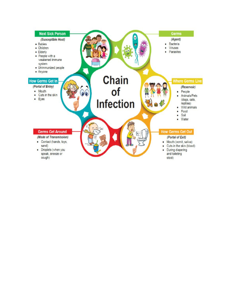 Elements of Te Chain of Infection | PDF