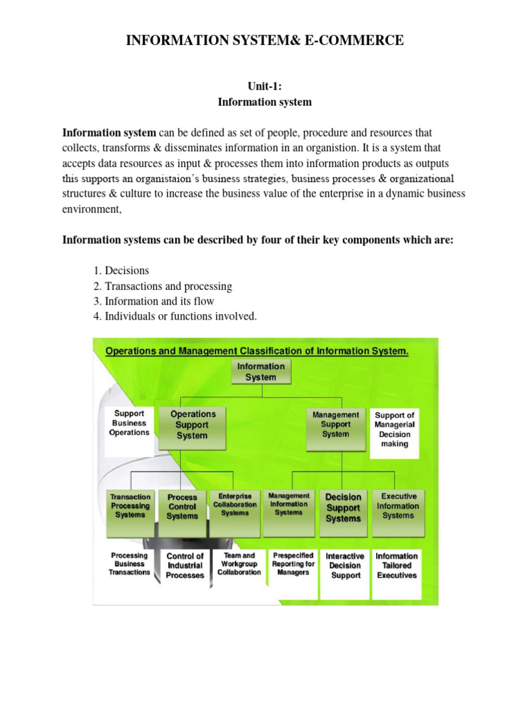 Information System E Commerce | PDF | Computer Network | Central ...