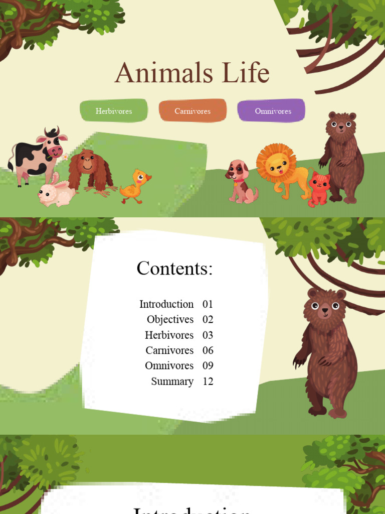 Cute Illustrations Animals Life Classification School Presentation ...