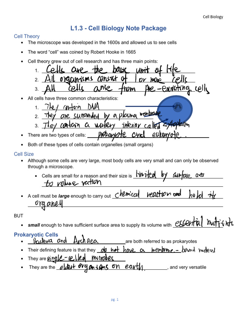 L1.3 - Cell Structures Note Package (2) | PDF | Cell (Biology) | Eukaryotes
