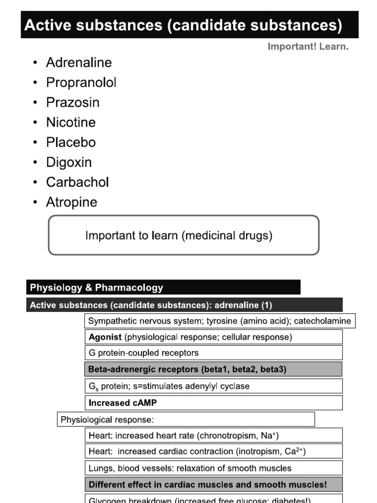 Explaination of Active Substances | PDF