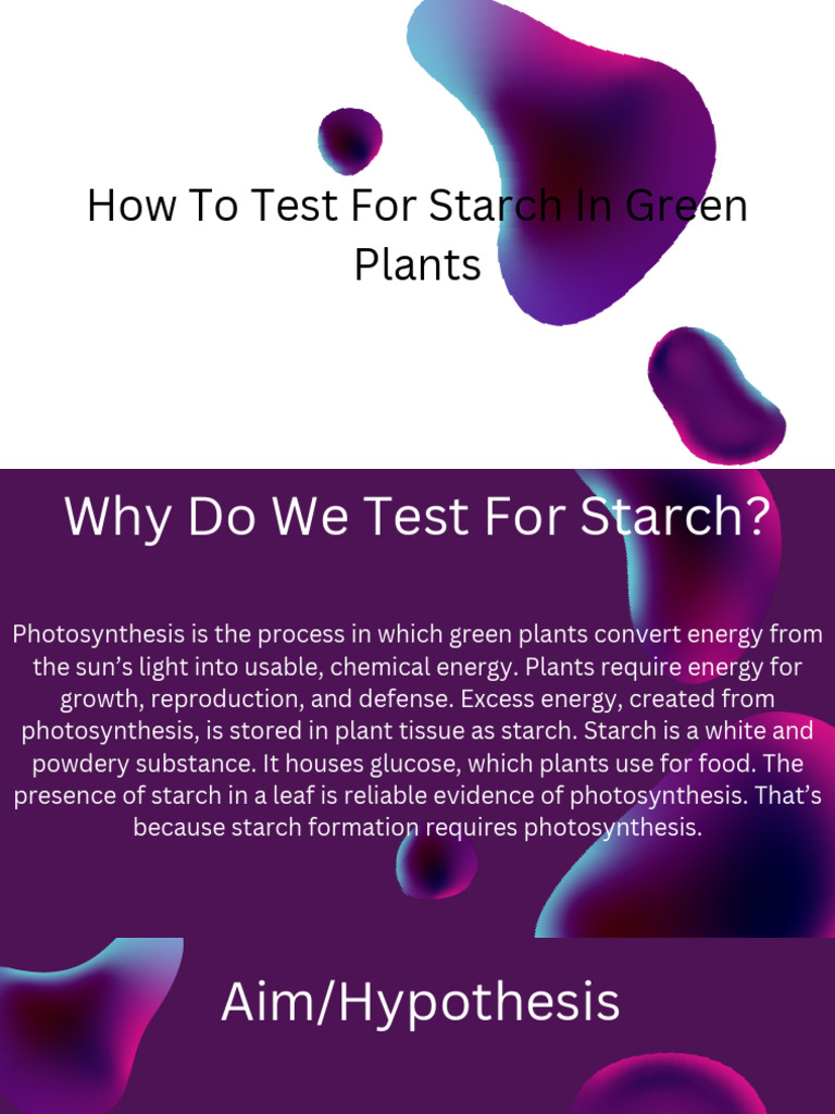How To Test For Starch in Green Plants | PDF | Science & Mathematics