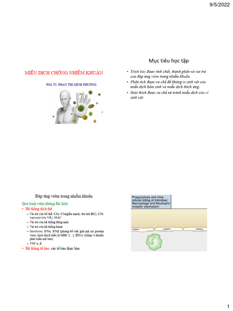 6. Miễn dịch và nhiễm khuẩn | PDF