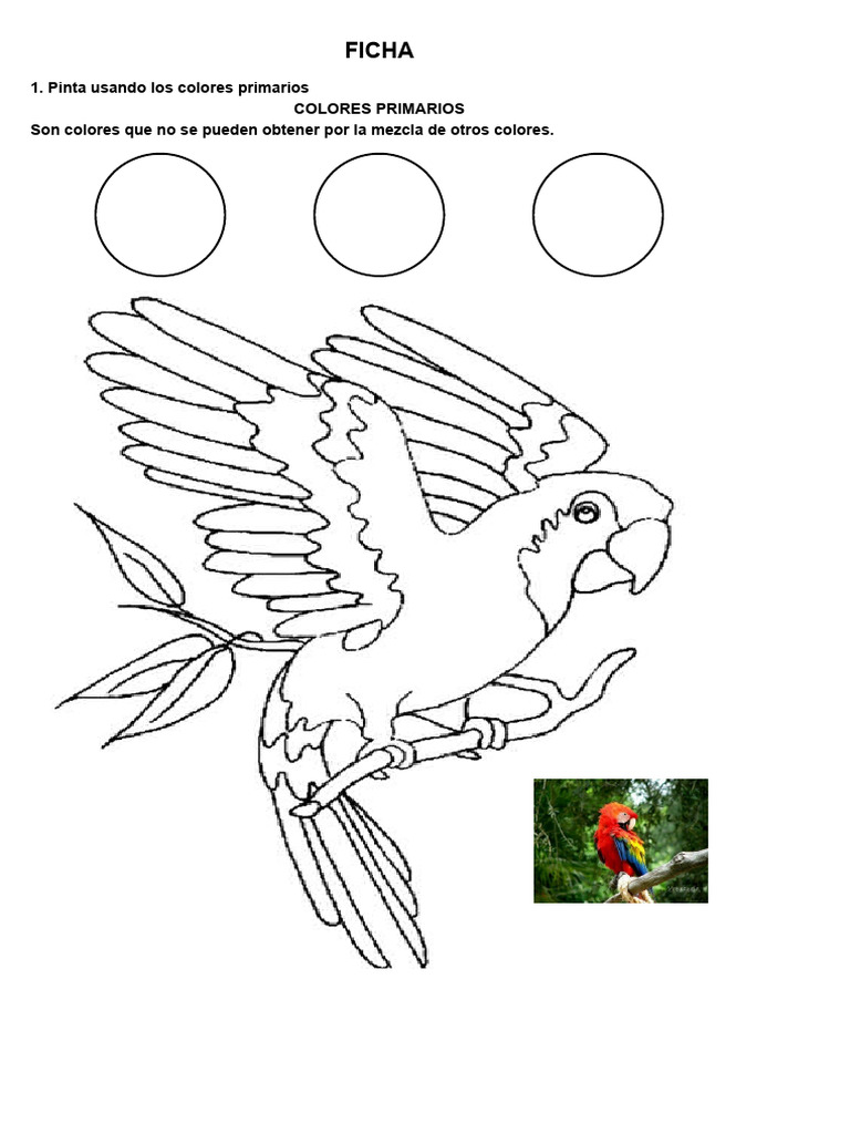 FICHA ARTE COLORES PRIMARIOS Y SECUNDARIOS | PDF
