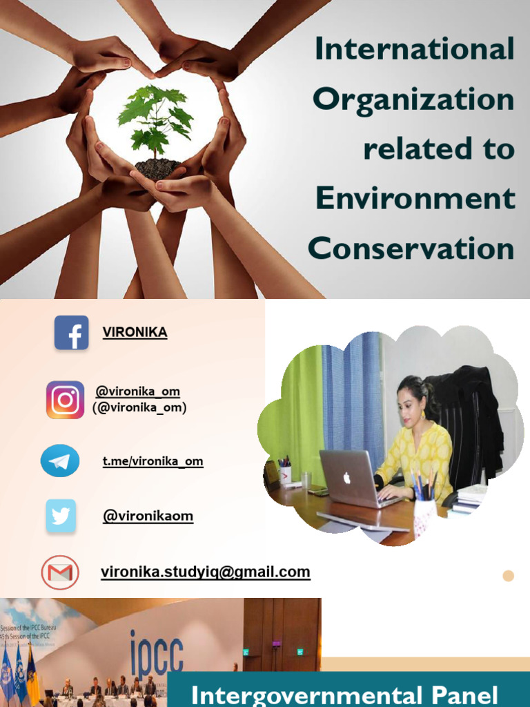 Key Global Environmental Organizations | PDF | Intergovernmental Panel ...