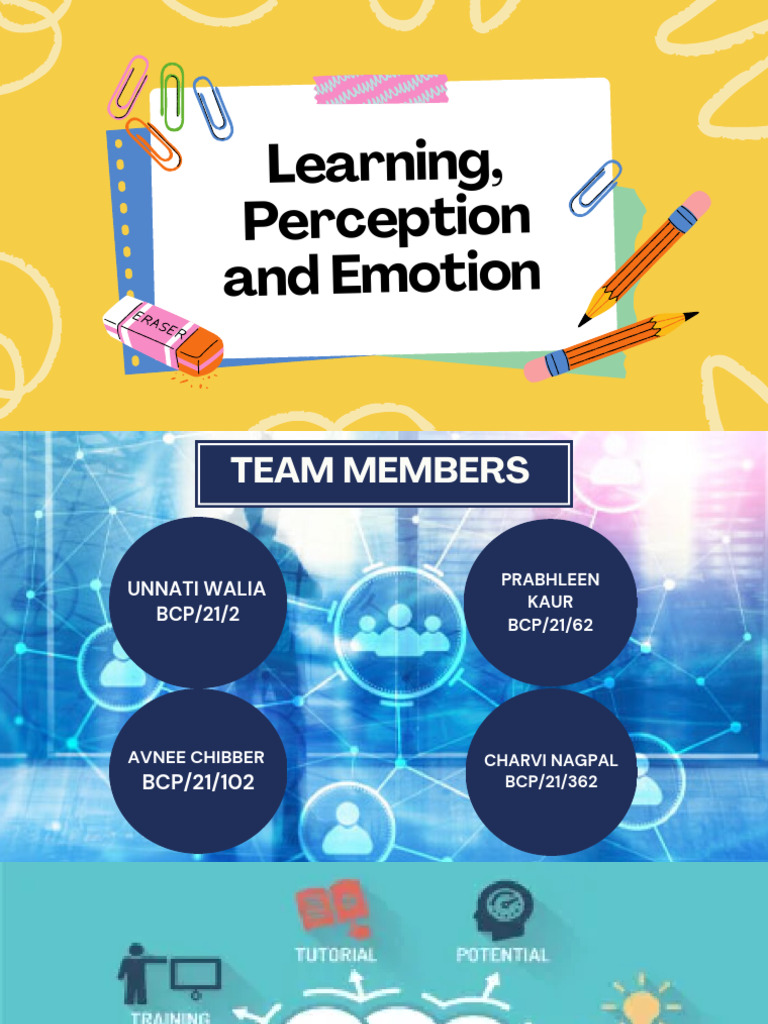 Ob presentation | PDF | Learning | Perception