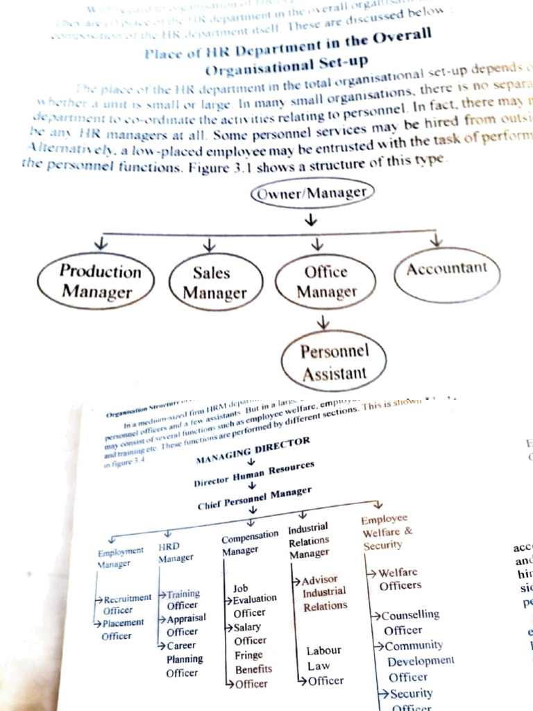HRM Flow Charts and History | PDF | Human Resource Management | Employment