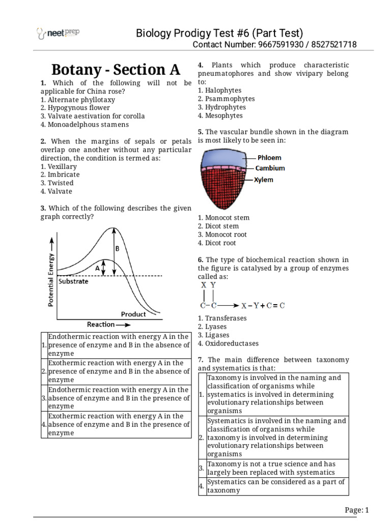 Biology Prodigy Test #6 (Part Test) | PDF | Chemical Synapse | Synapse