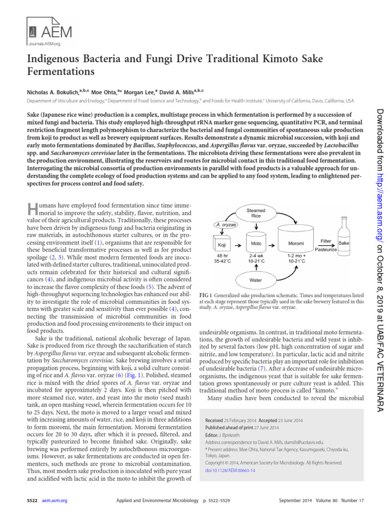 Kimoto Sake Aka Traditional Sake | PDF | Real Time Polymerase Chain ...