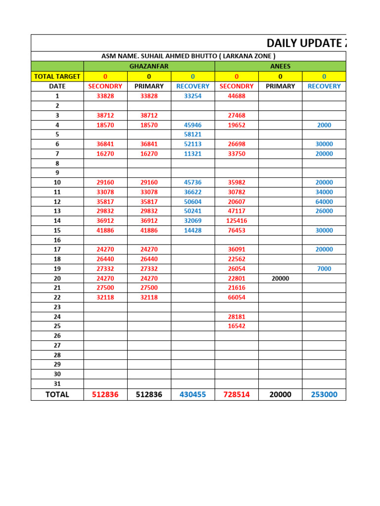 Daily Up Date Recovry Sheet | PDF