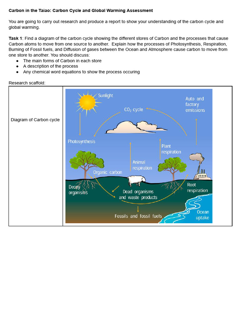 Carbon Cycle and Global Warming Insights | PDF | Greenhouse Effect ...