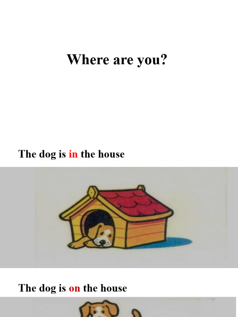 where are you | PDF