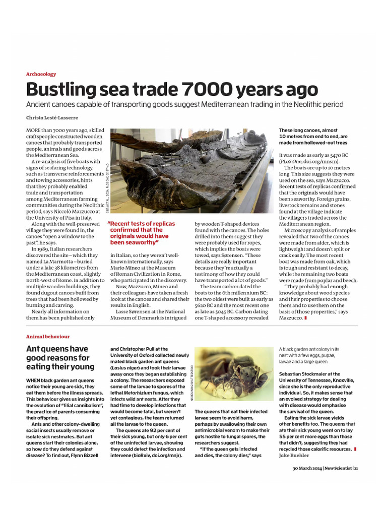 Bustling Sea Trade 7000 Years Ago - News | PDF