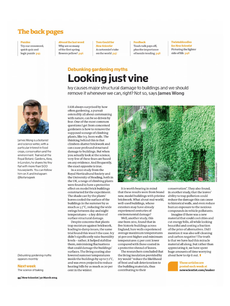 Looking Just Vine - Back Pages | PDF