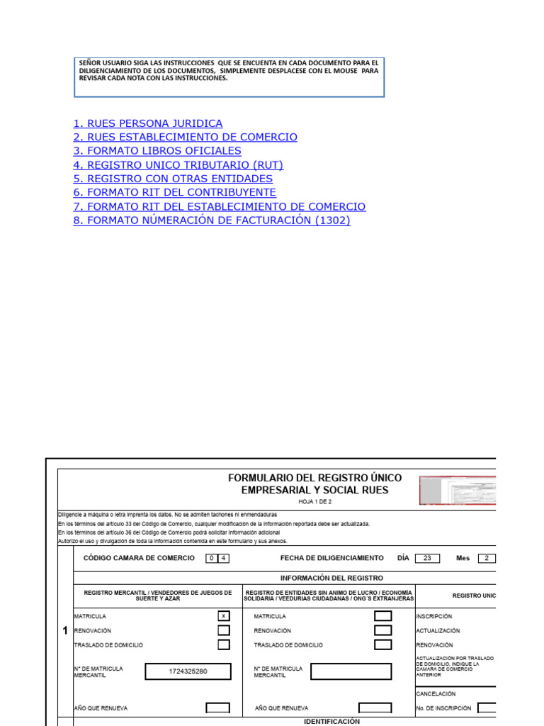 4.3 - Rues 1 y 2, Libros, Rut, Otras Entidades, Rit 1 y 2, 1302 | PDF ...