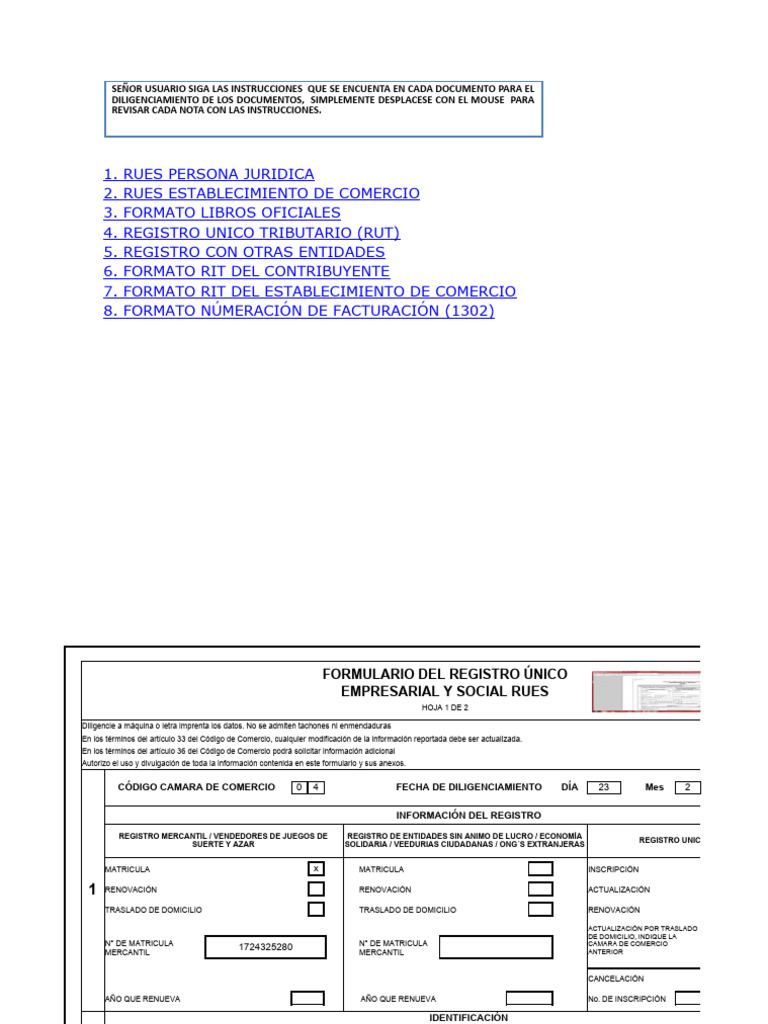 4.3 - Rues 1 y 2, Libros, Rut, Otras Entidades, Rit 1 y 2, 1302 | PDF ...