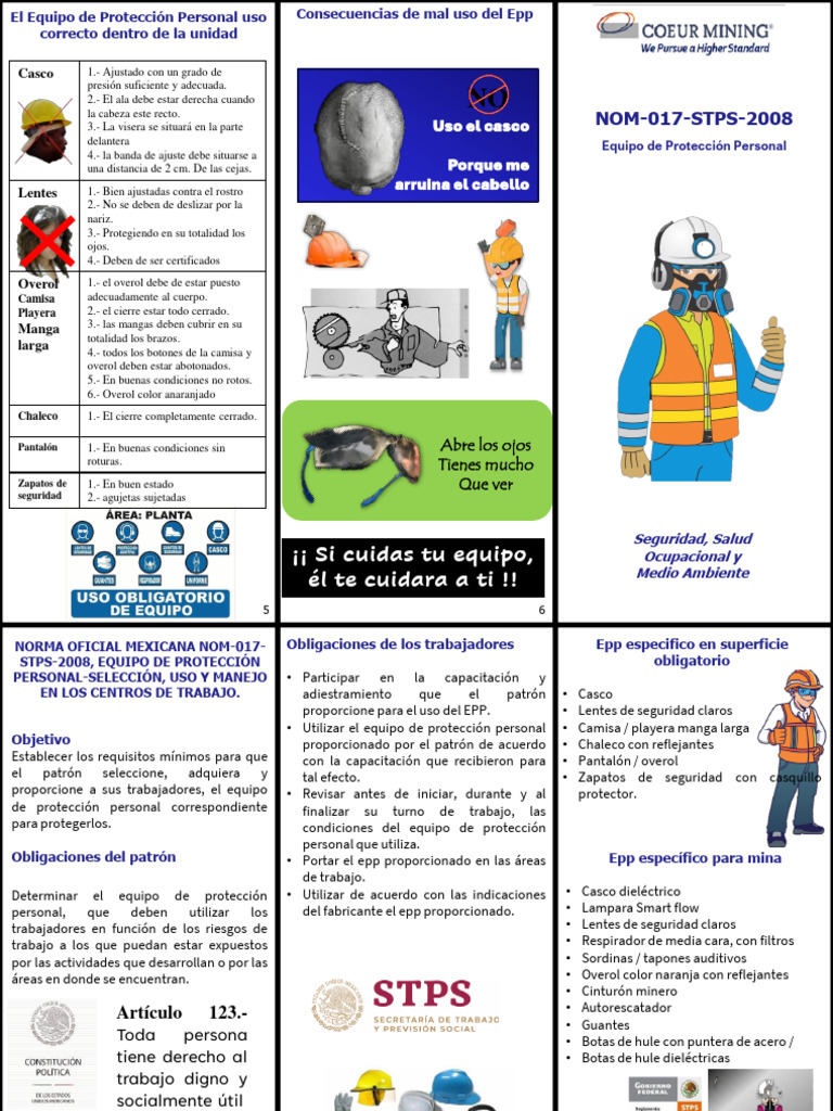 Tríptico de EPP | PDF