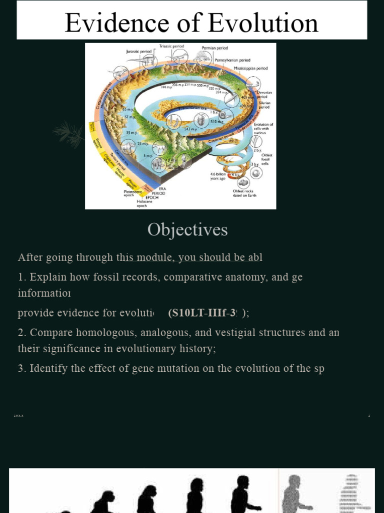 Evidences of Evolution | PDF | Evolution | Fossil