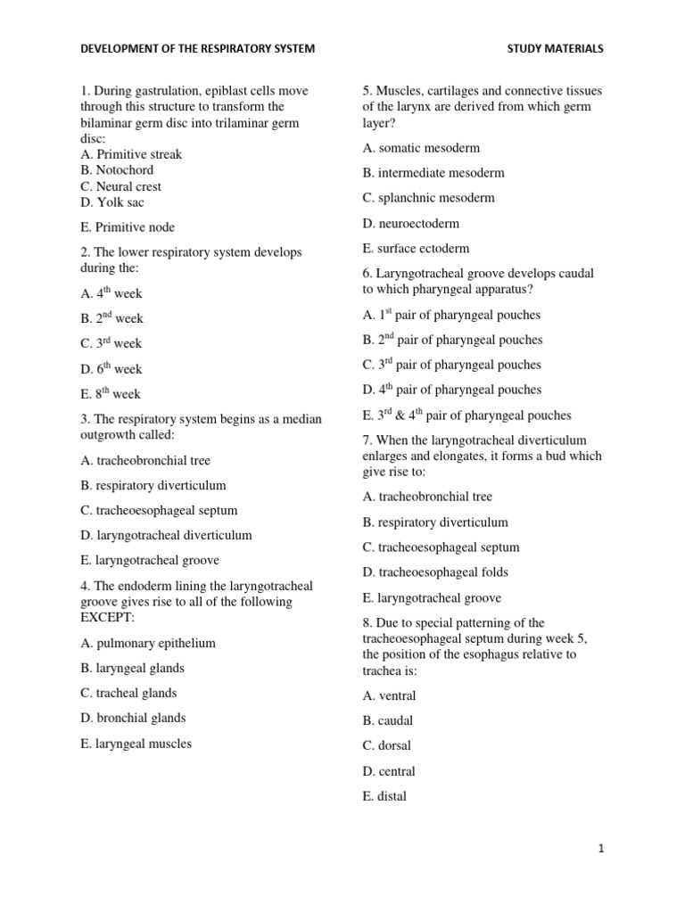 Respiratory System Development Overview | PDF | Lung | Respiratory Tract