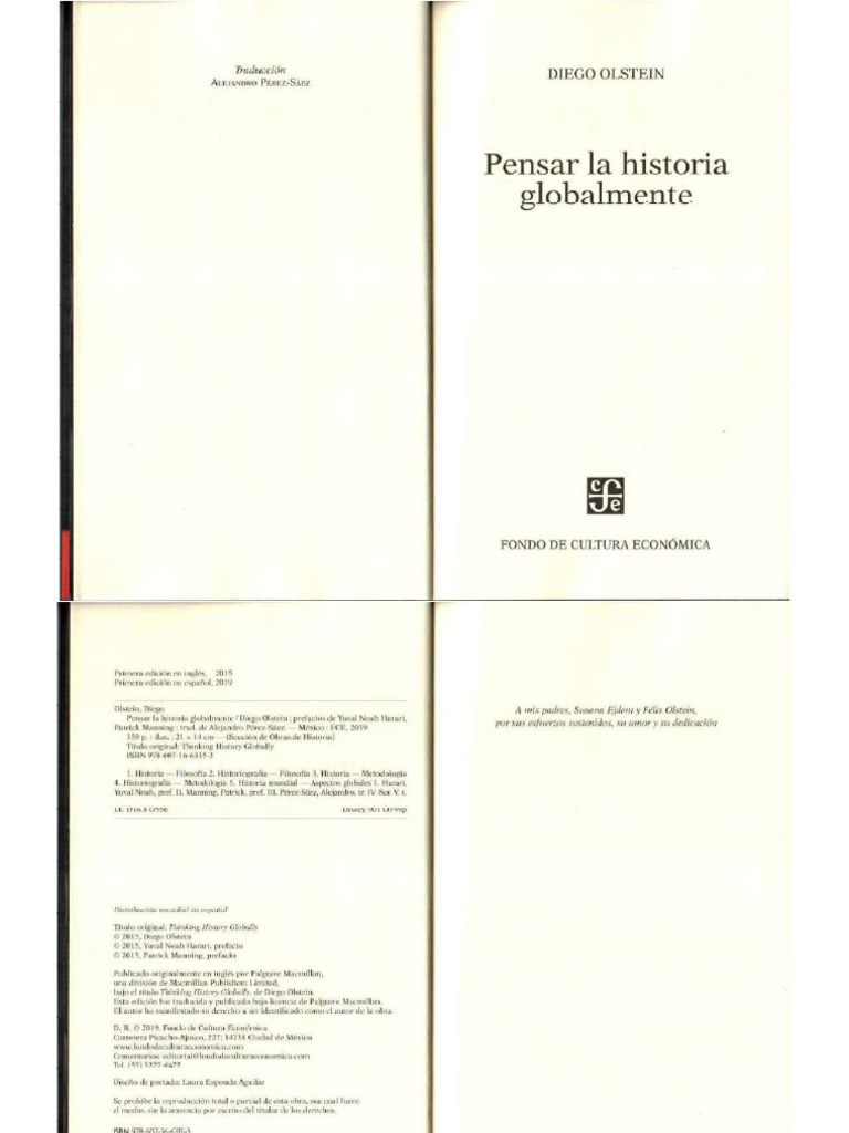Diego Olstein - La Teoria Puesta en Practica | PDF