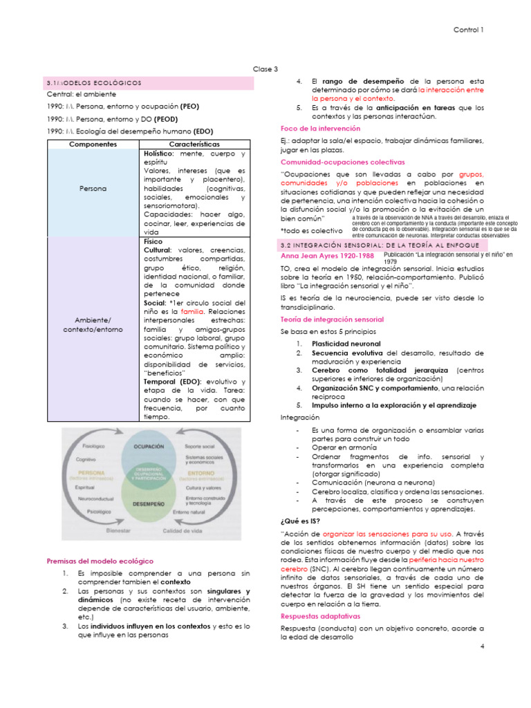 Control 2 TOEI V - C3 y C4 | PDF | Aprendizaje | Cerebro