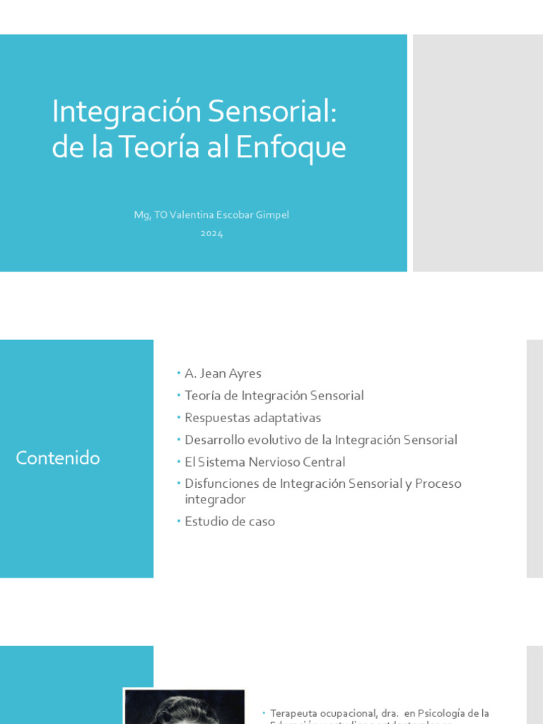 Clase 5 Modelo de Integracion Sensorial 083056 | Descargar gratis PDF | Cerebro | Aprendizaje