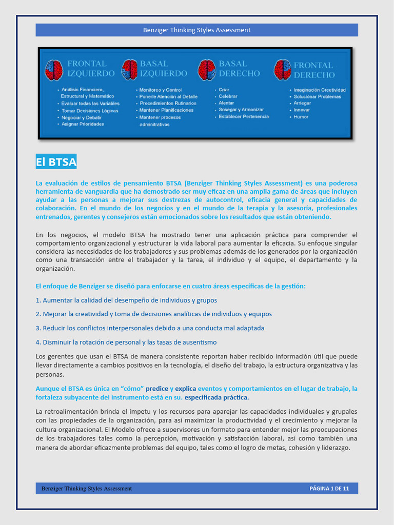 El BTSA (Benziger Thinking Styles Assessment) | PDF | Cerebro | Pensamiento