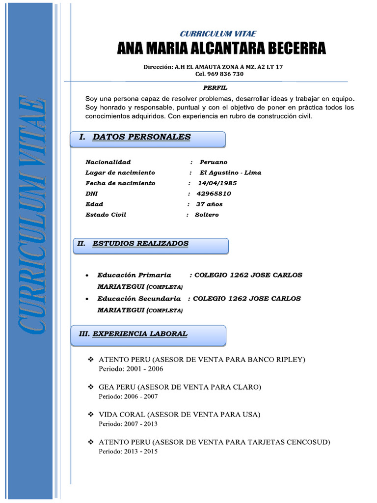 CV Completo Ana Maria | PDF