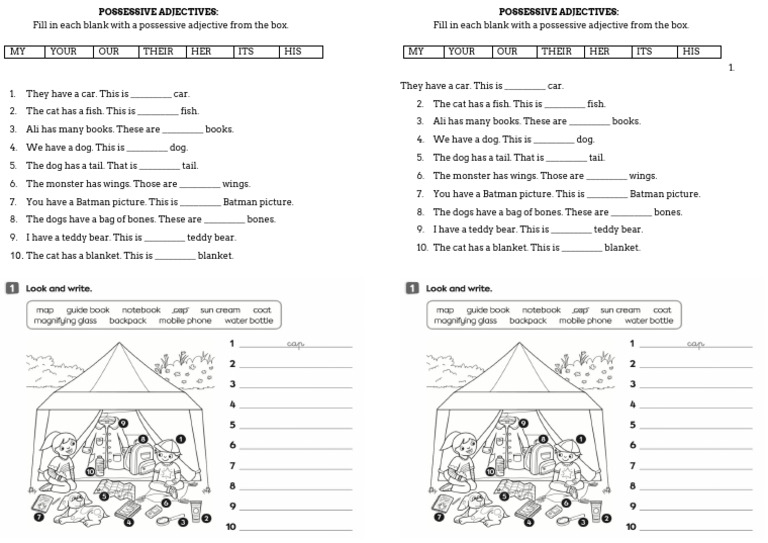 Fill in the Blanks: Possessive Adjectives | PDF