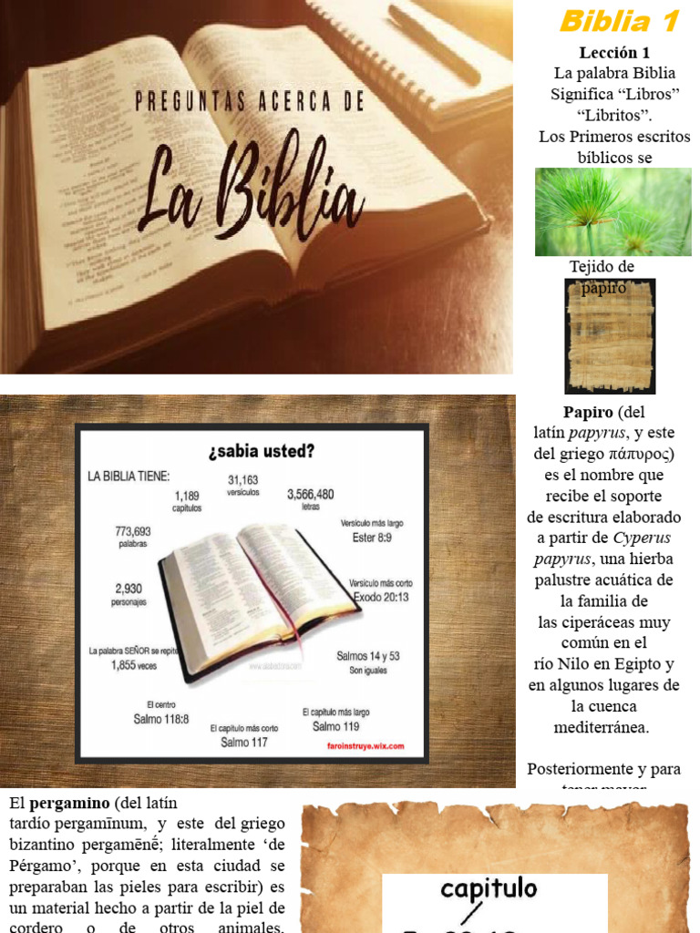 Sagradas Escrituras A T Pdf Textos Religiosos Literatura Religiosa