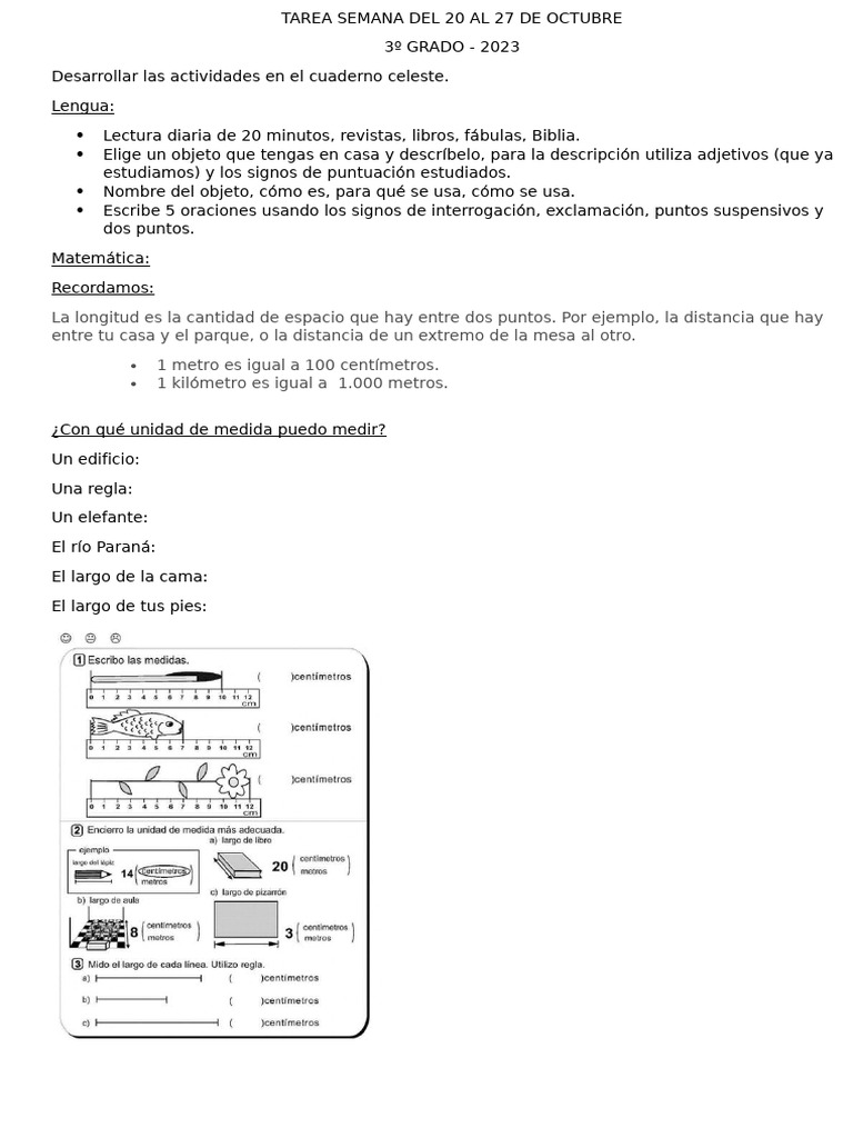 Tareas y Actividades 3º Grado | PDF