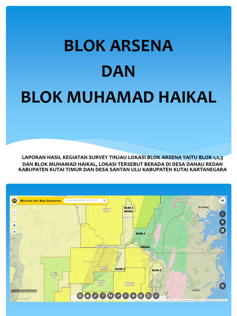 Laporan Survey Blok Arsen dan Muhamad Haikal | PDF