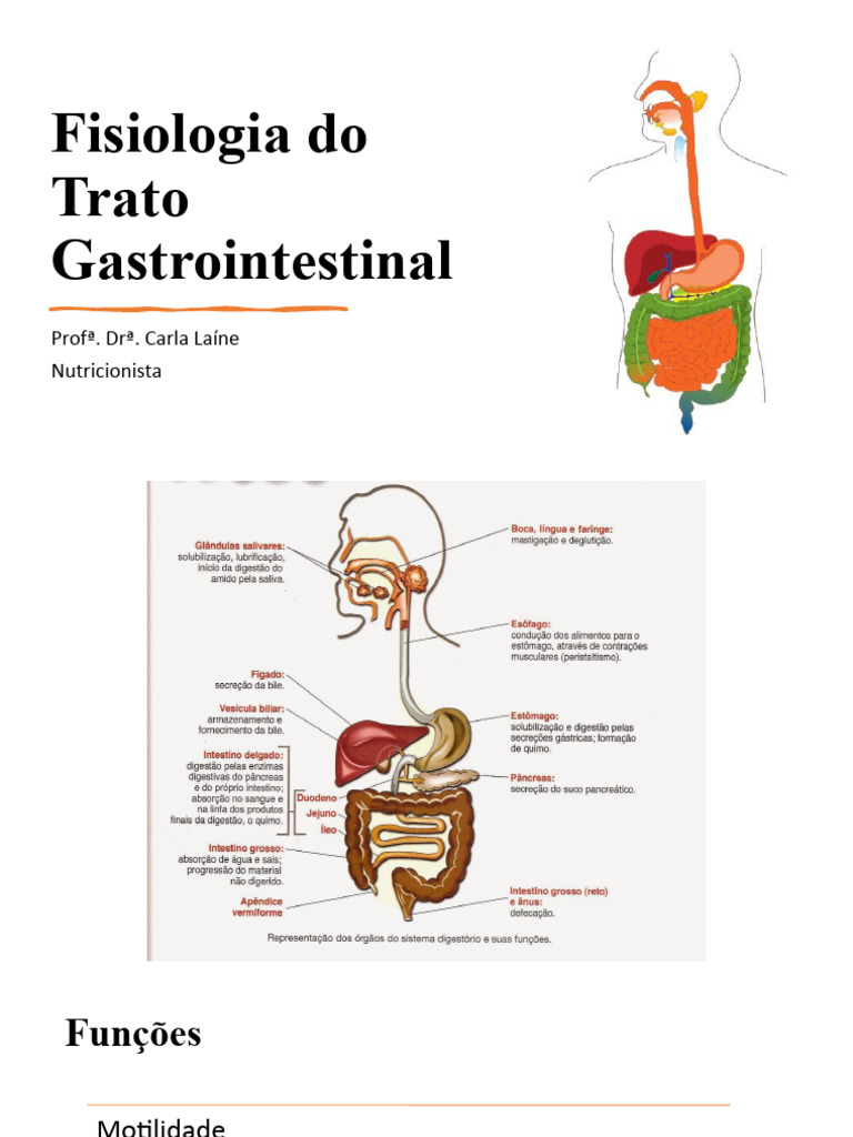 Fisiologia do Trato Gastrointestinal | PDF | Digestão | Biologia