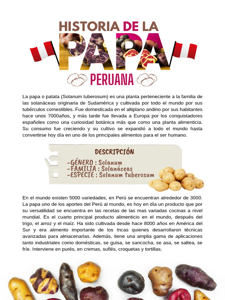 HISTORIA DE LA papa(4) | PDF | Patata | Cocina occidental