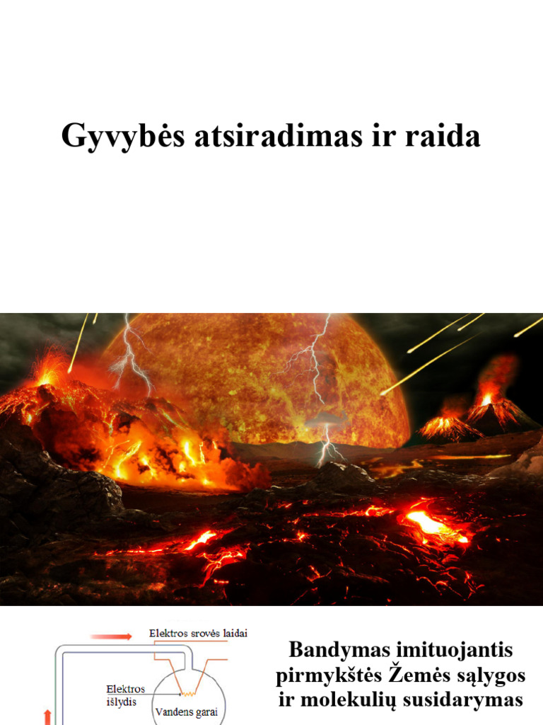 Skaidrės - Gyvybės Atsiradimas Ir Raida | PDF