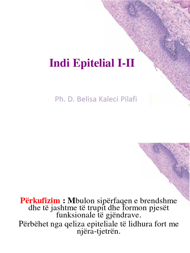 Indi Epitelial 2022-I-II 2 | PDF