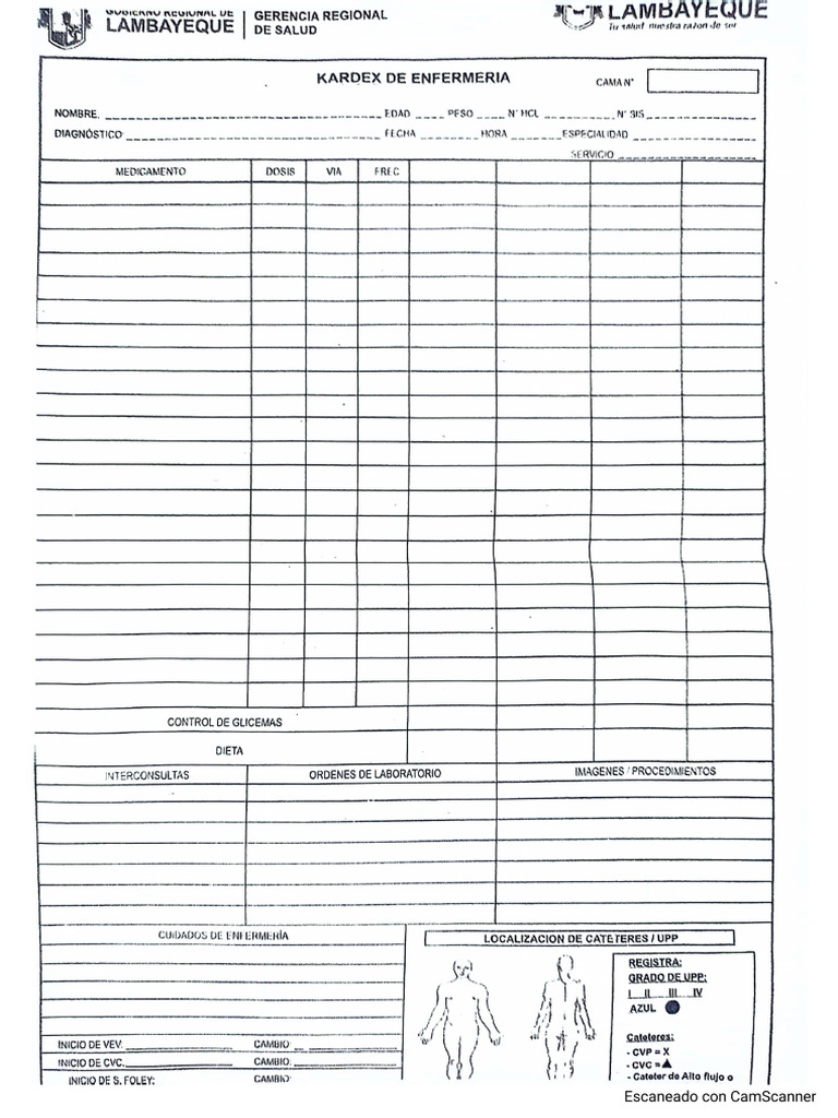 Kardex Formato | PDF