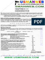 Nums MBBS & BDS Fee Structure 2024-25 | PDF | Islamabad | World Politics