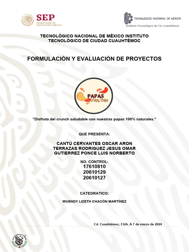 Portada Formulación y Evaluación de Proyectos | PDF