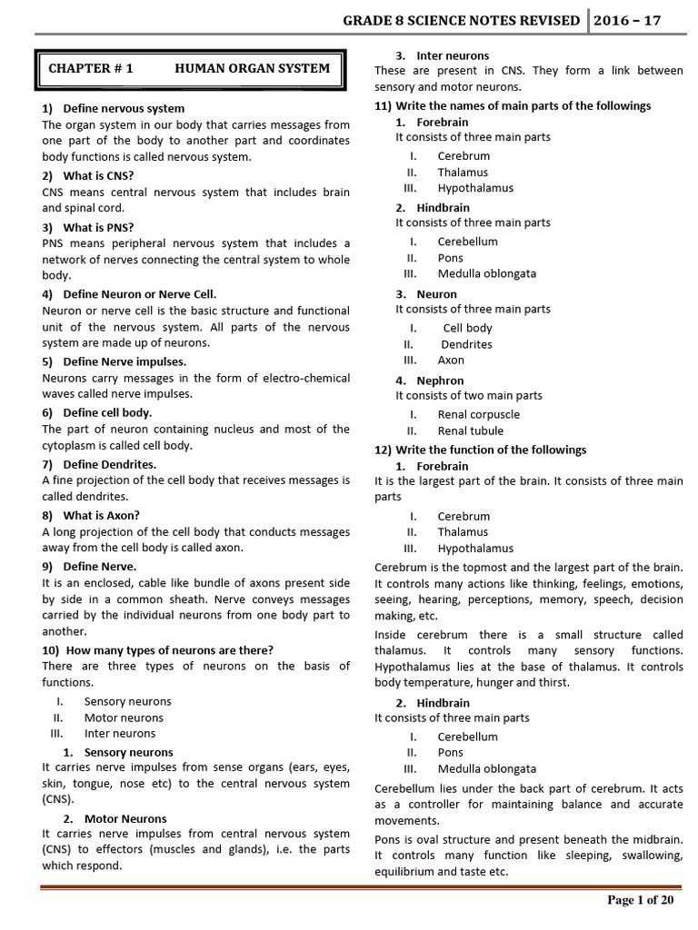 Class 8 Nervous System Overview | PDF | Central Nervous System ...