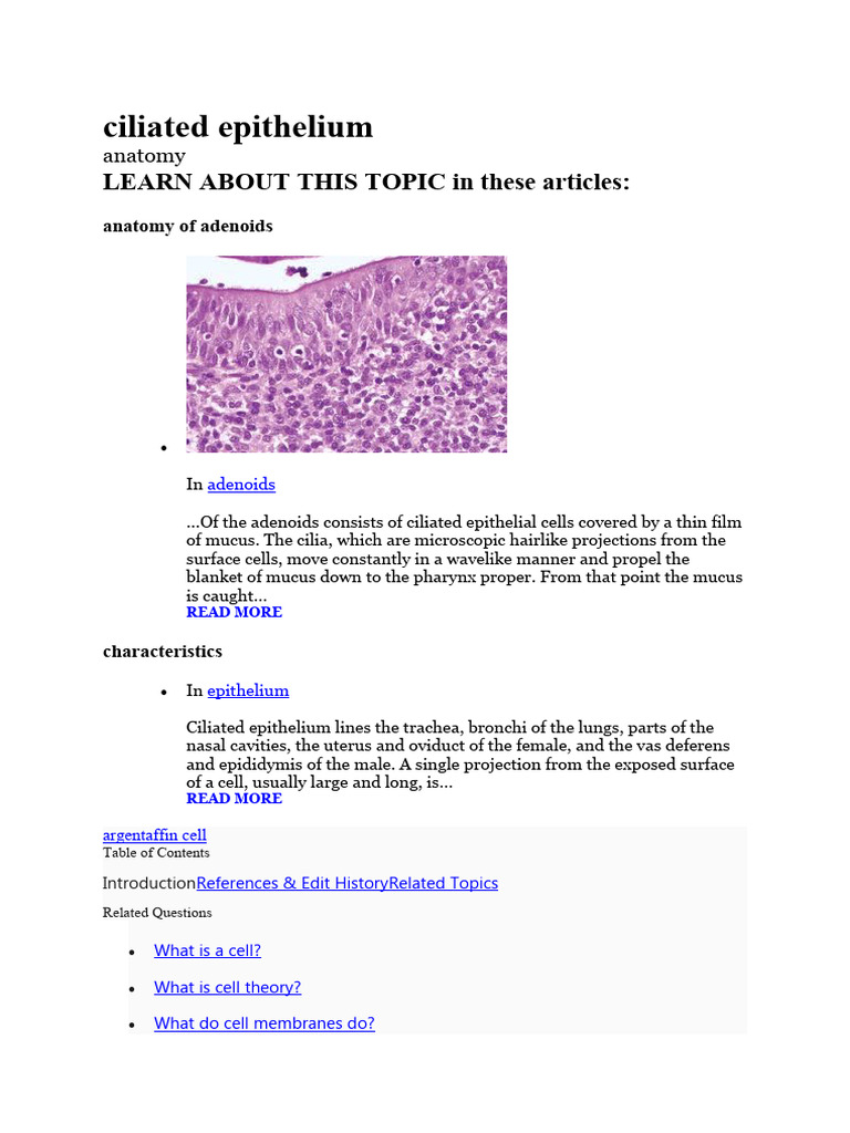 ciliated epithelium | PDF | Epithelium | Tissue (Biology)