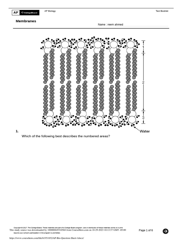 Membranes: Which of The Following Best Describes The Numbered Areas ...