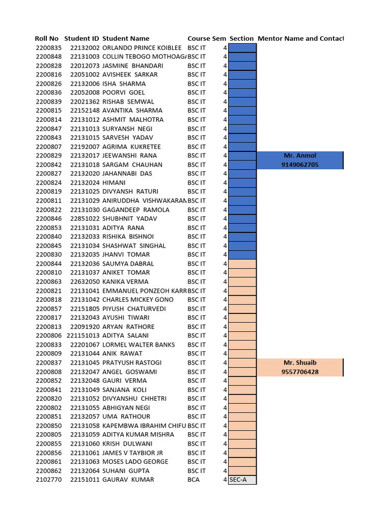 Mentor List for Project BCA BSC IT 4 sem | PDF